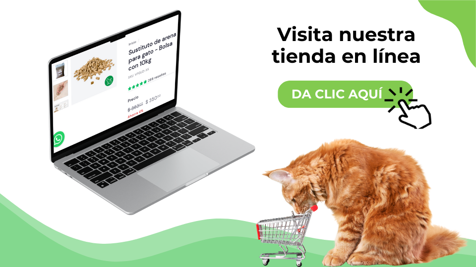 ¿Cómo usar pellets para gatos?